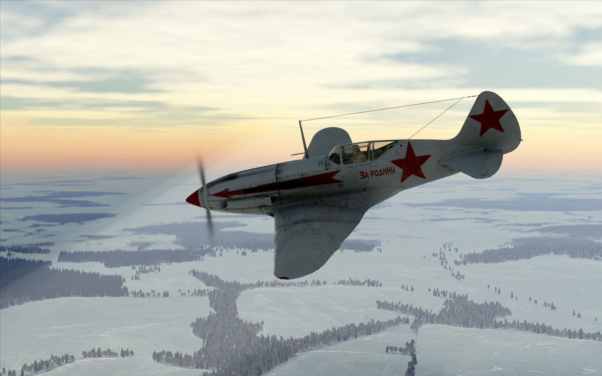 The joys of free flight – Stormbirds