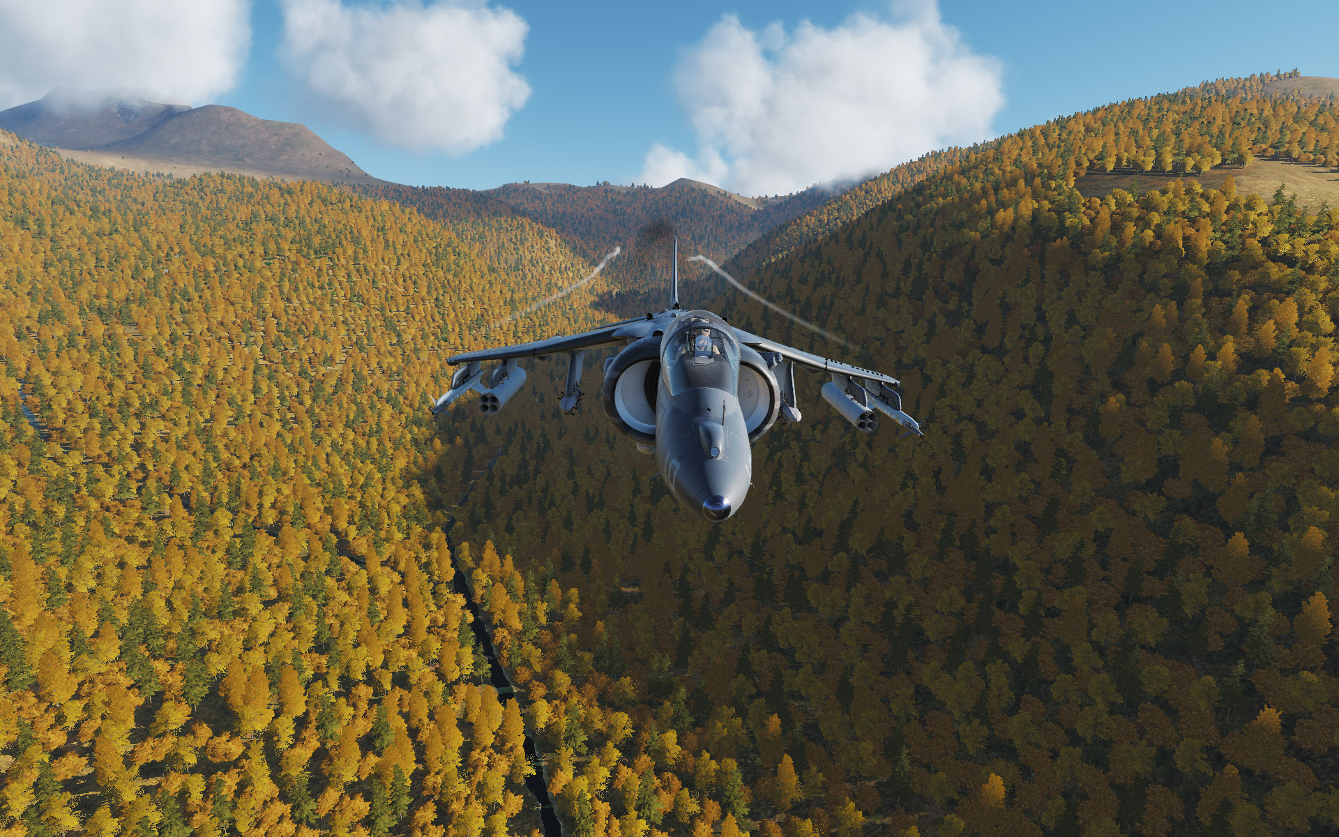 Some thoughts on the DCS: AV-8B – Stormbirds