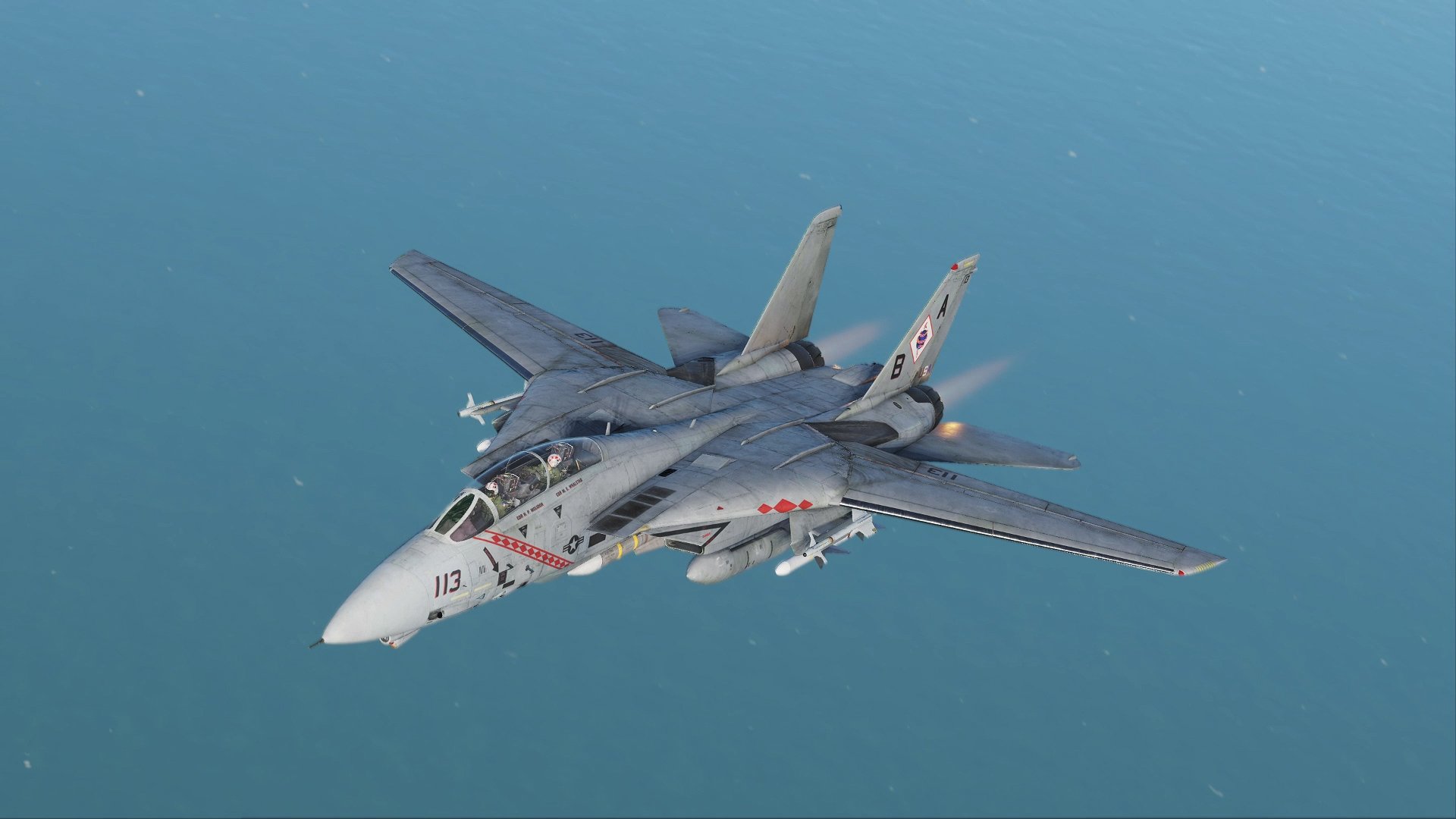 DCS: F-14 by Heatblur fully revealed – Stormbirds