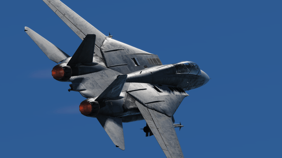 Two different reactions to the DCS: F-14, plus some history – Stormbirds