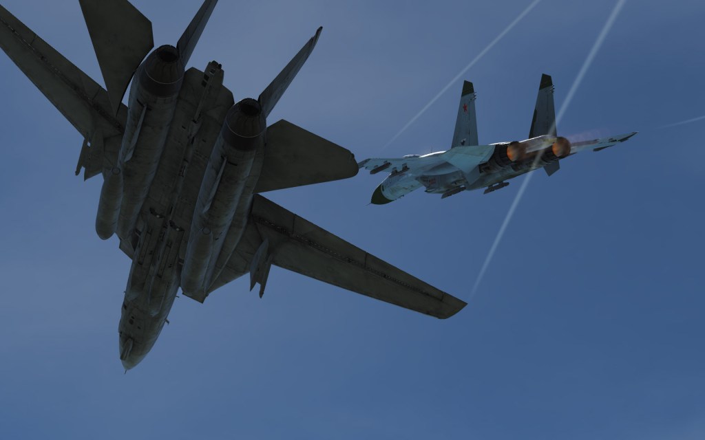 On mighty wings! DCS: F-14 Tomcat first impressions – Stormbirds