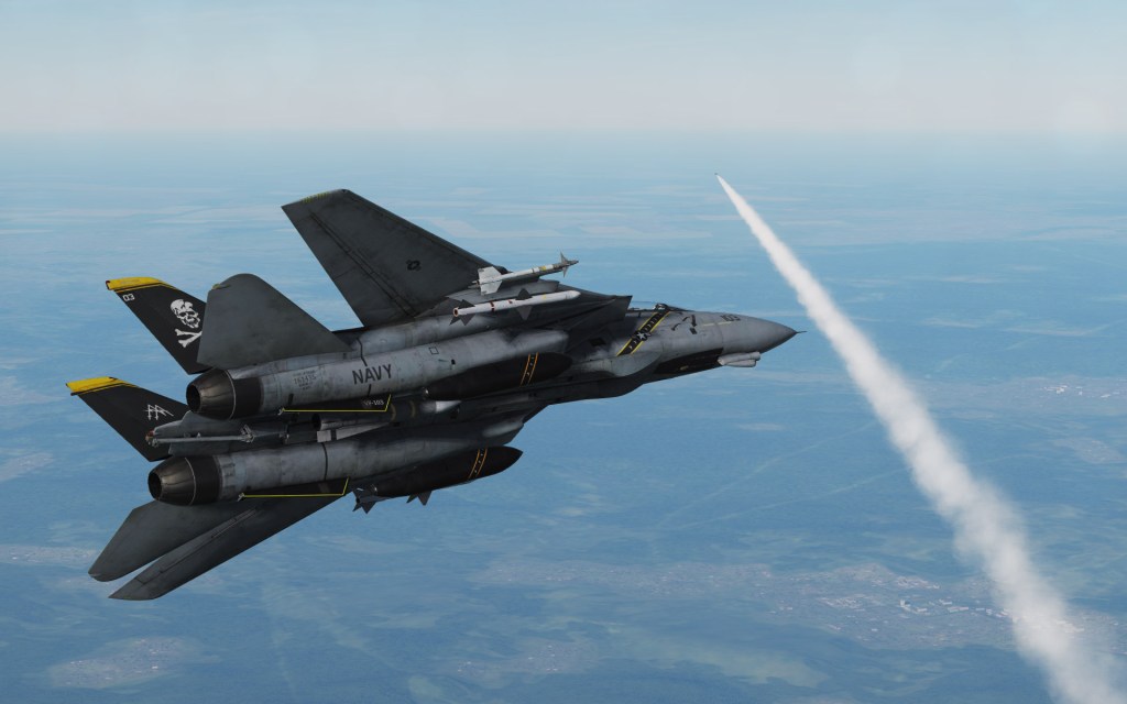 On mighty wings! DCS: F-14 Tomcat first impressions – Stormbirds