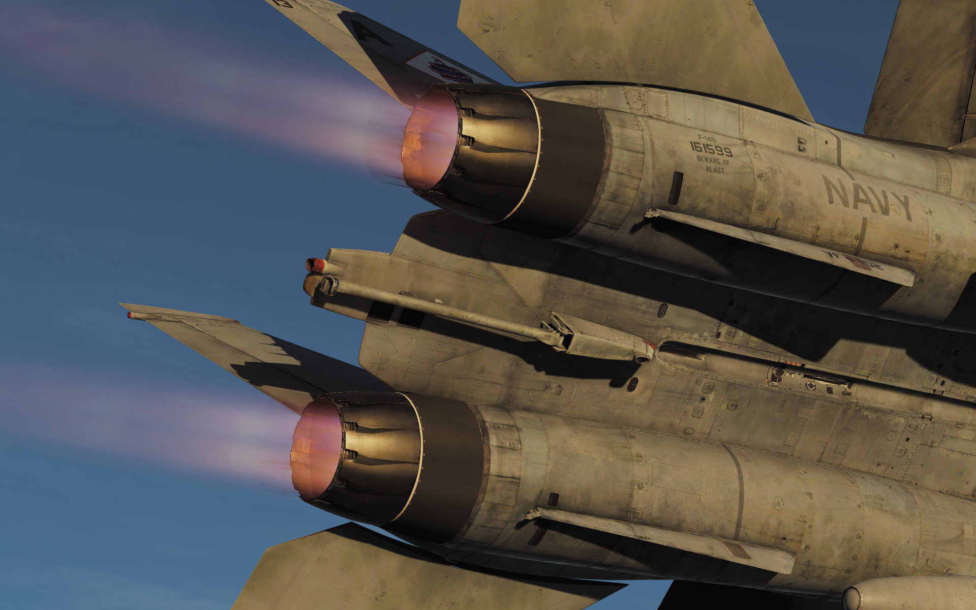 DCS: F-14 black wings and other issues – Stormbirds