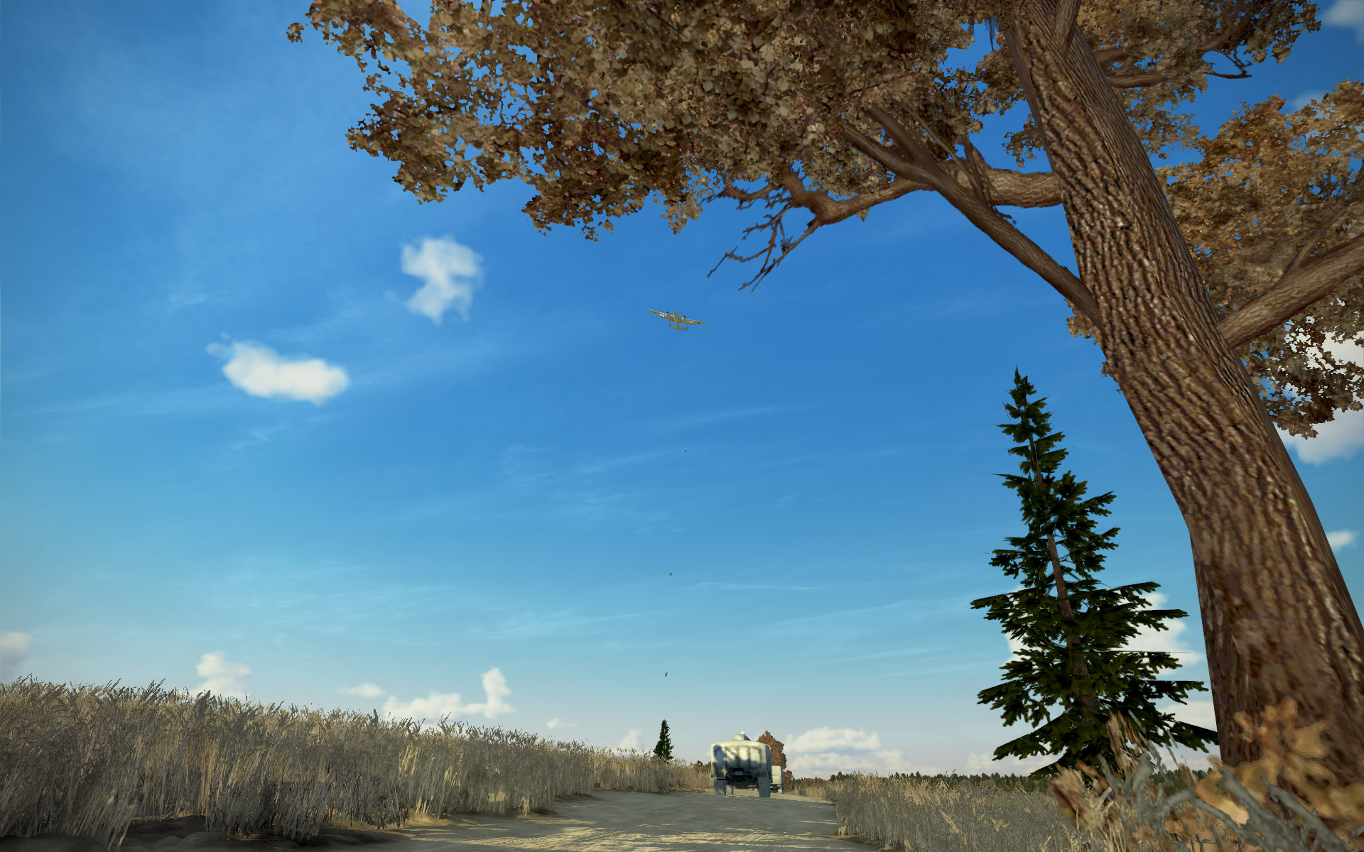 A new TAW season is underway – Stormbirds