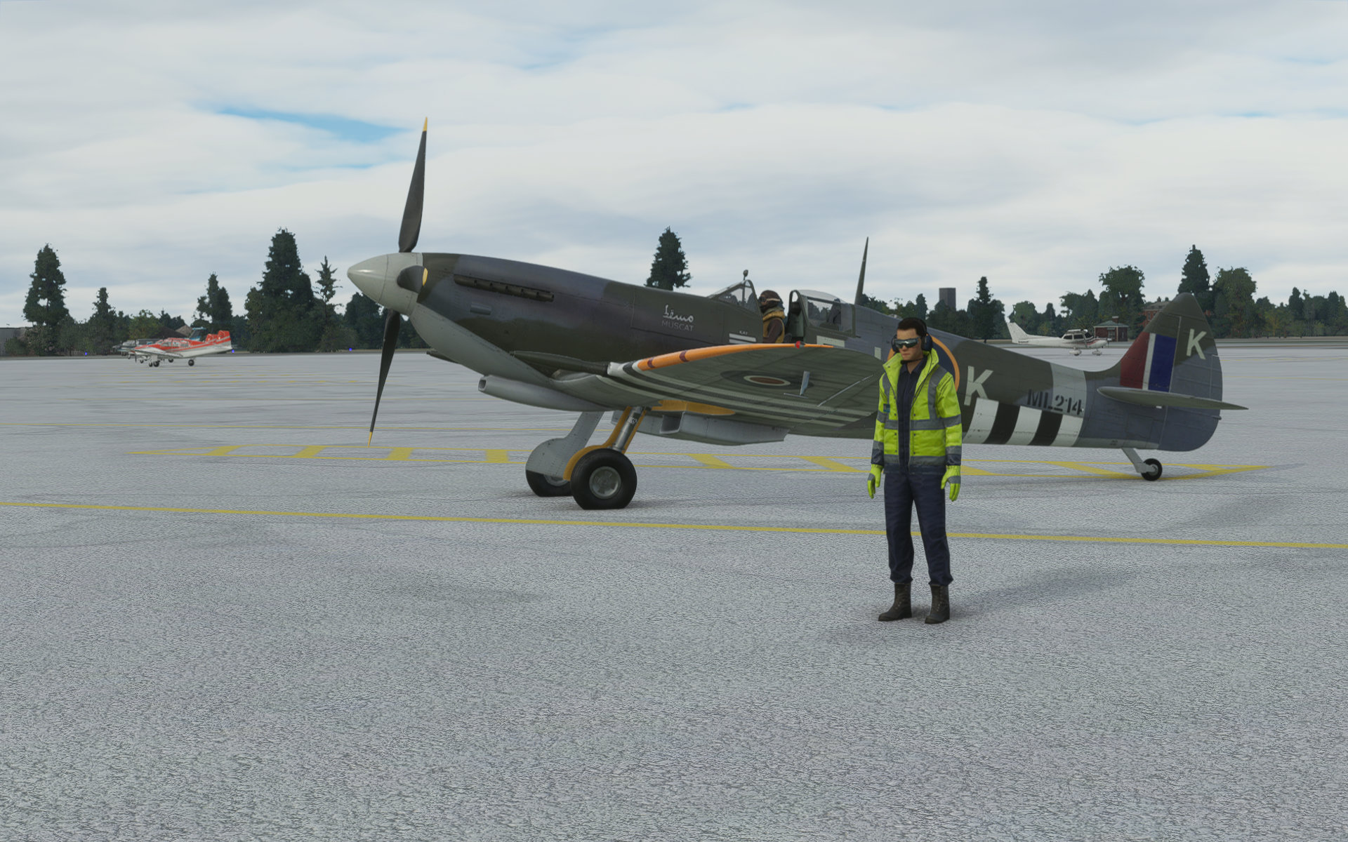 Flight Journal: A first look at Flying Iron Simulation’s Spitfire IX ...