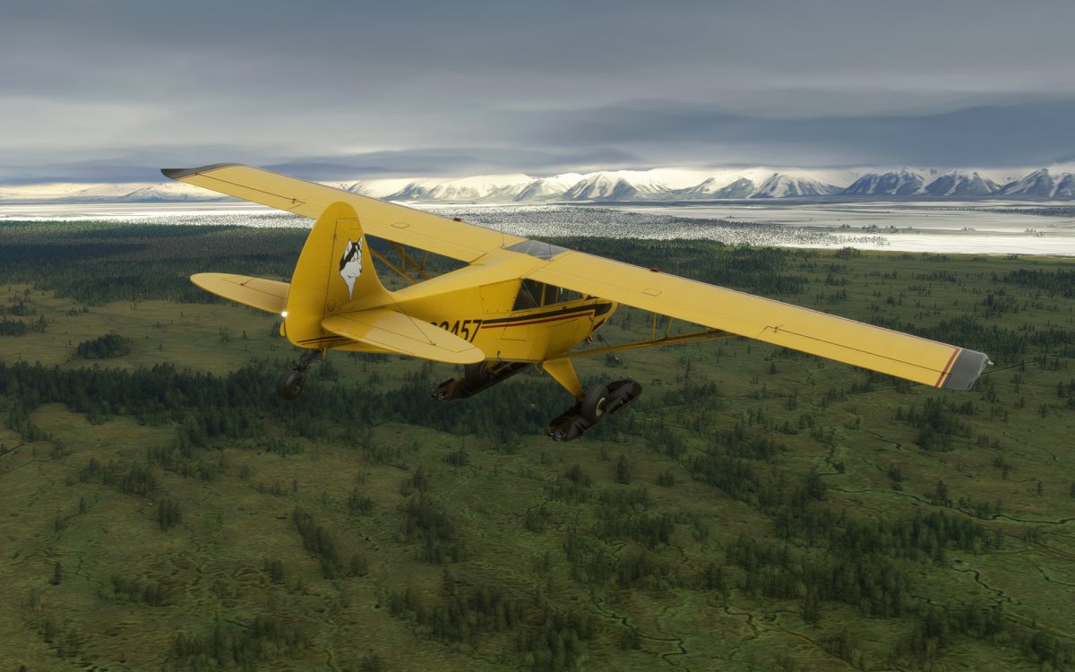 Bush plane fun! Reviewing the Asobo Studios Aviat Husky A-1C – Stormbirds