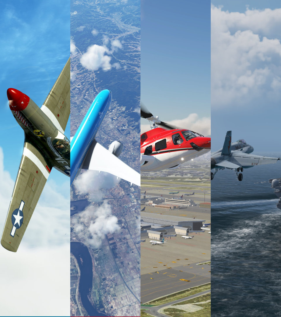 The state of flight simulation at the end of 2021 – Stormbirds