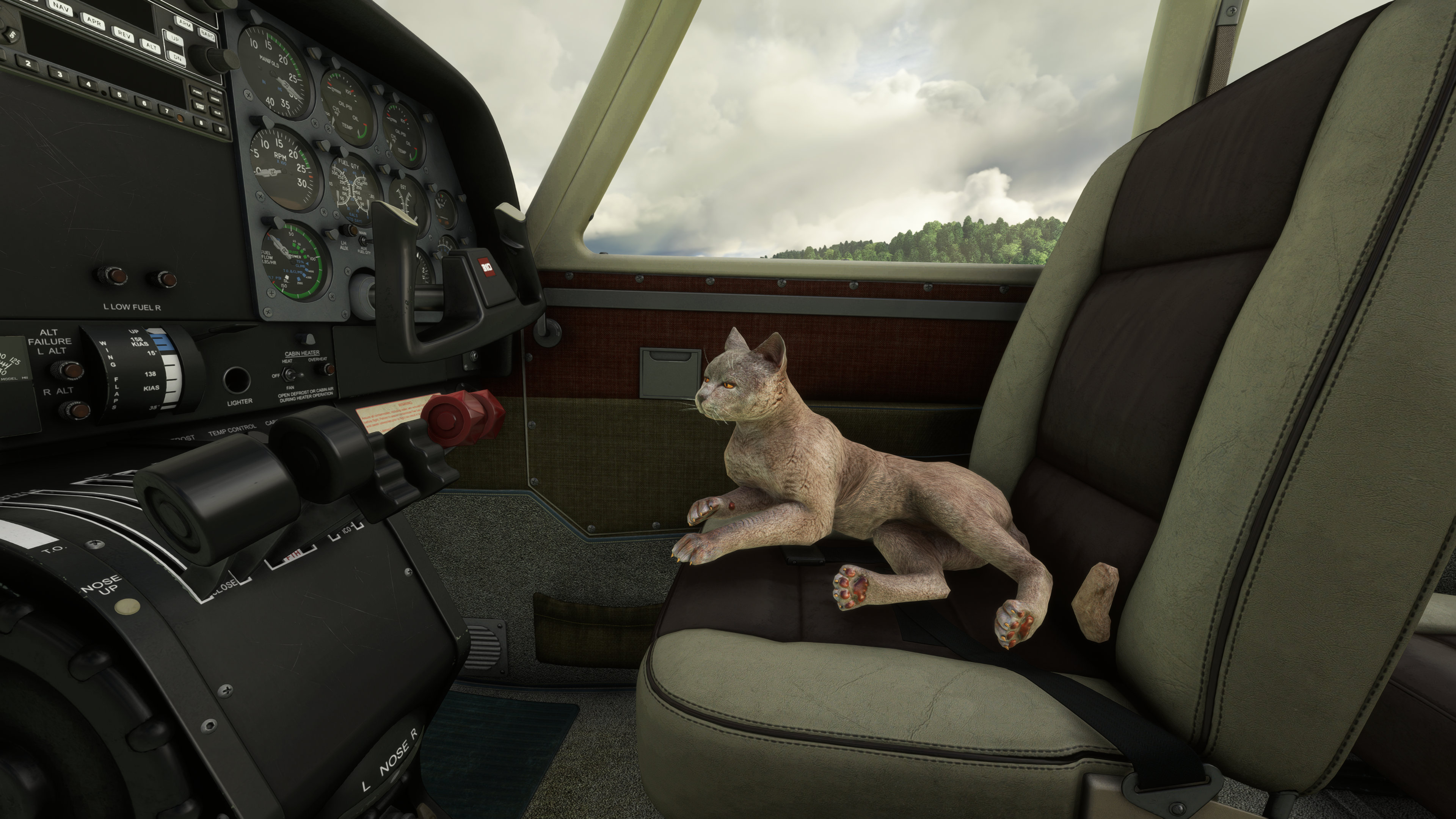 Got Friends Microsoft Flight Simulator Avitar review – Stormbirds