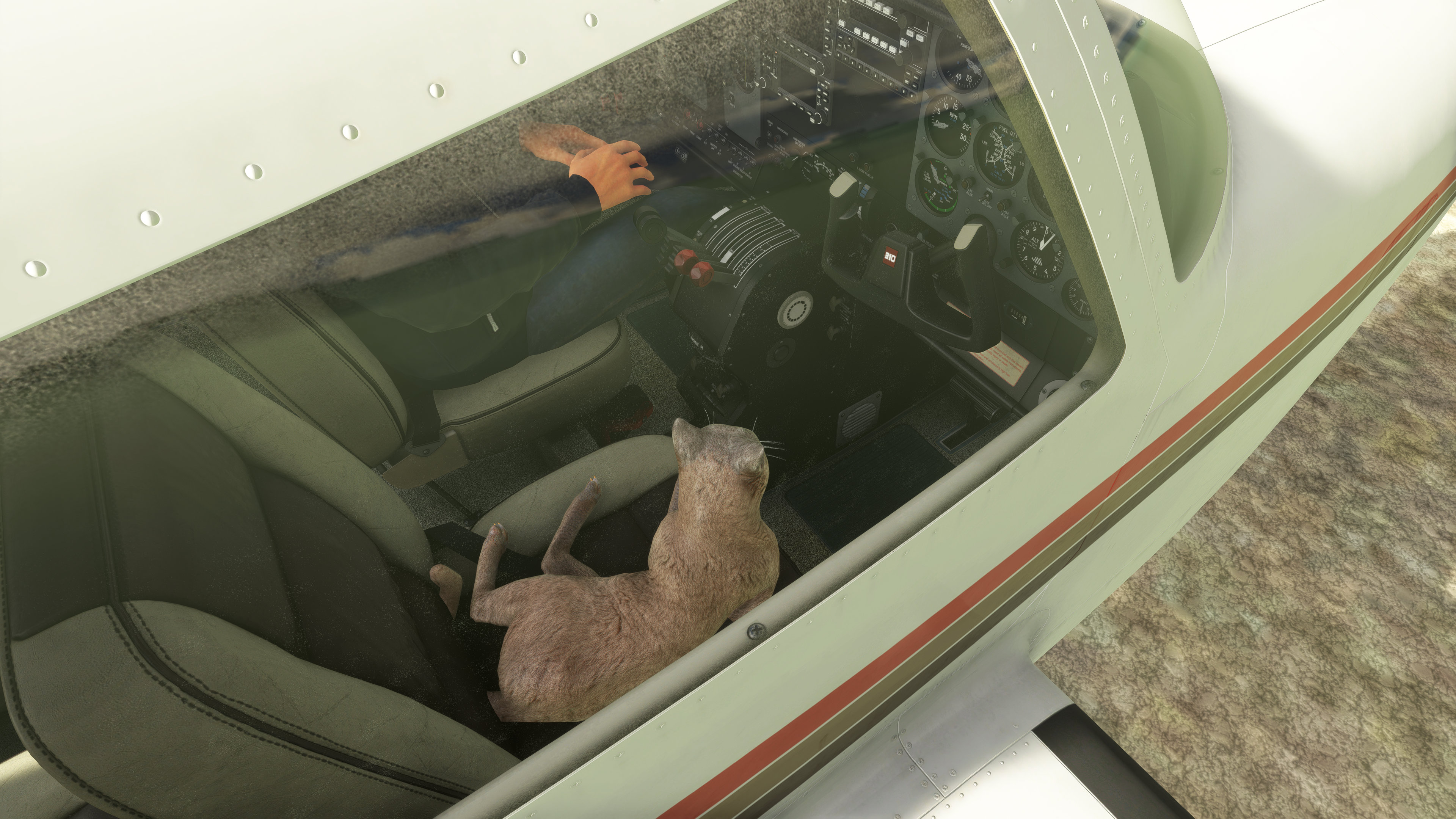 Got Friends Microsoft Flight Simulator Avitar review – Stormbirds