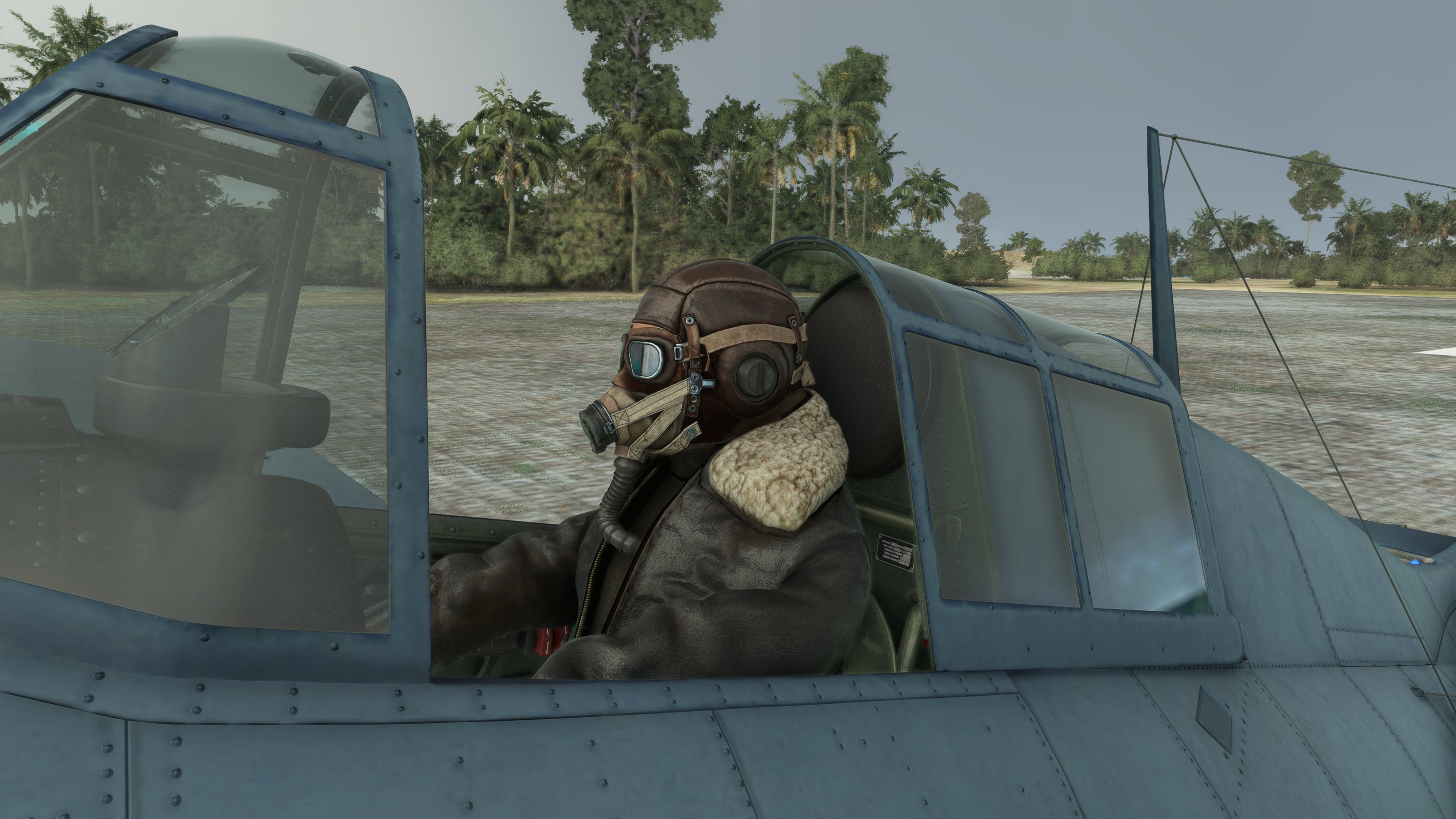 Got Friends Microsoft Flight Simulator Avitar review – Stormbirds