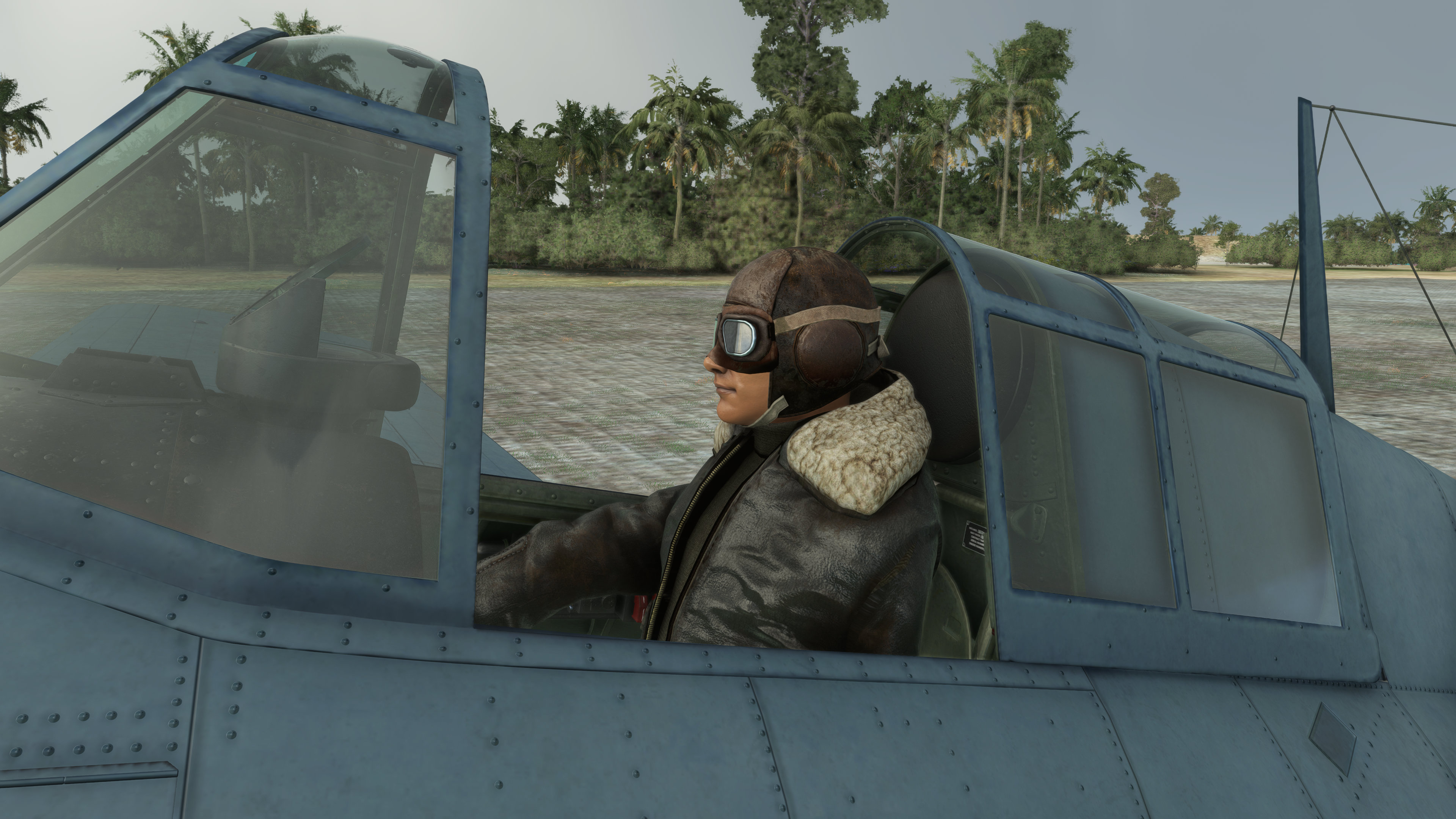 Got Friends Microsoft Flight Simulator Avitar review – Stormbirds