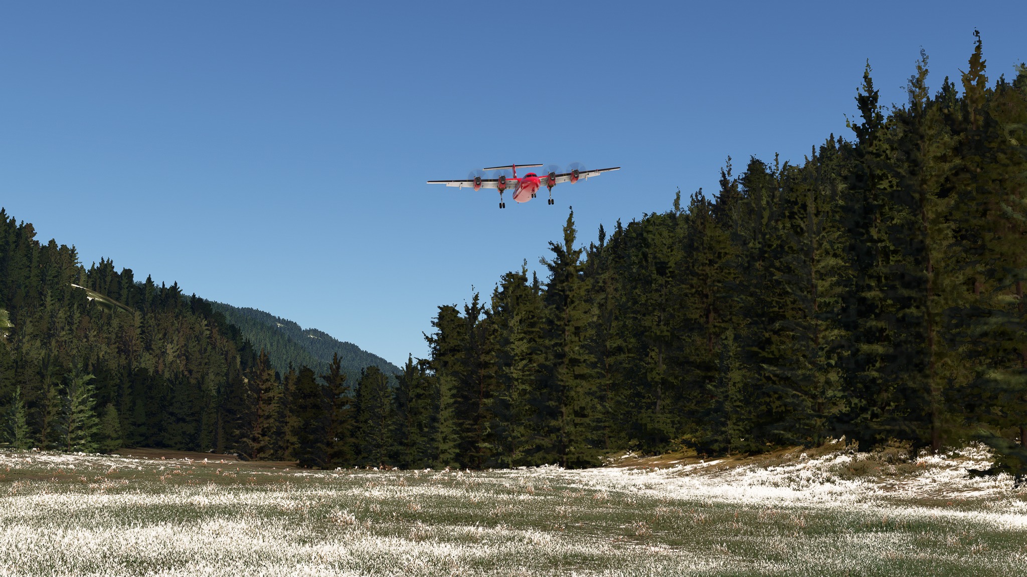 PILOT’S provides Dash 7, B-314 future plans – Stormbirds