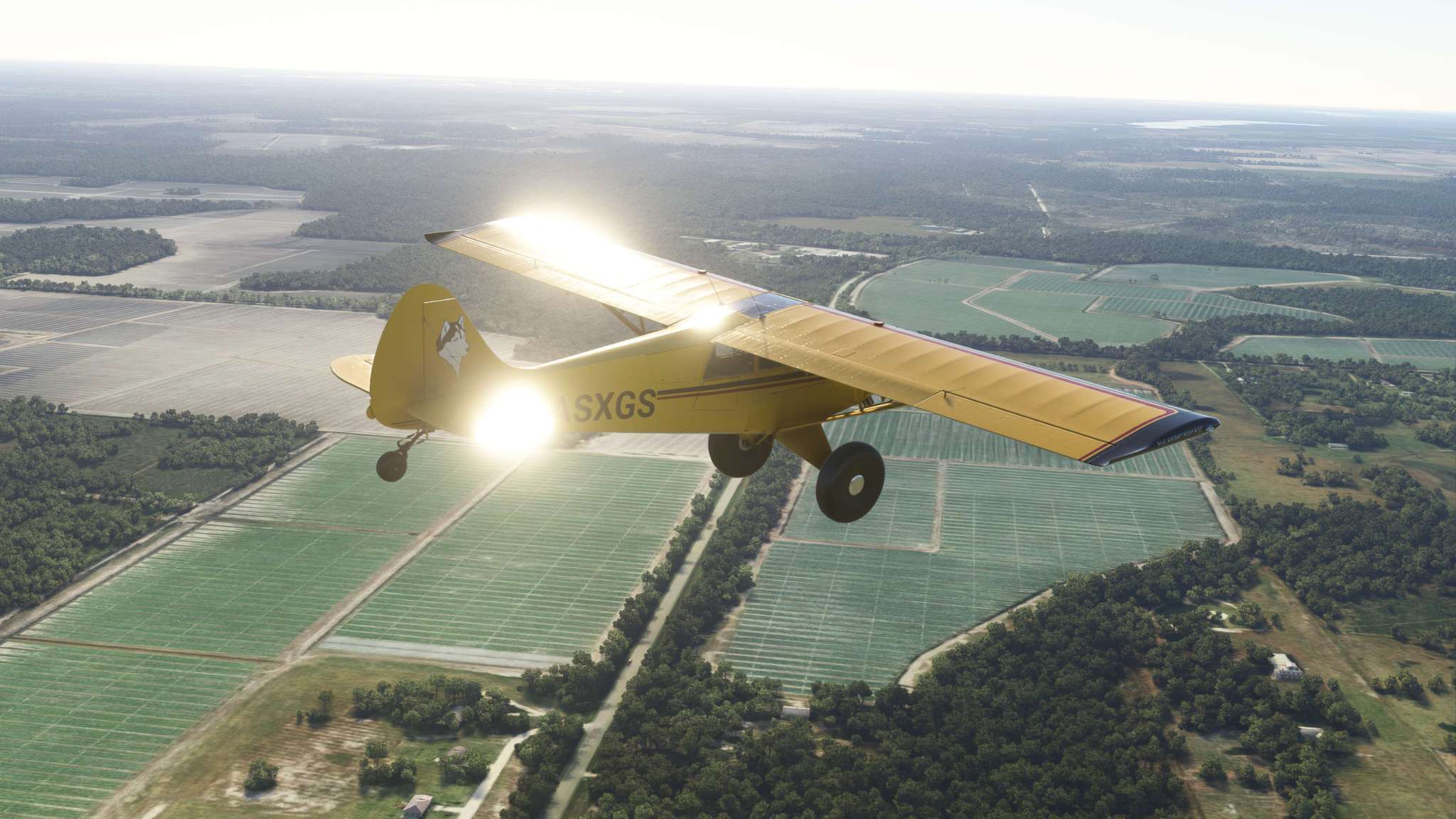 Flight Journal: First look at Bald Eagle Airfield – Stormbirds