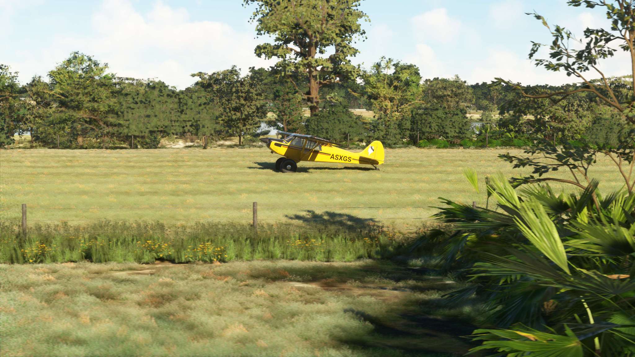 Flight Journal: First look at Bald Eagle Airfield – Stormbirds