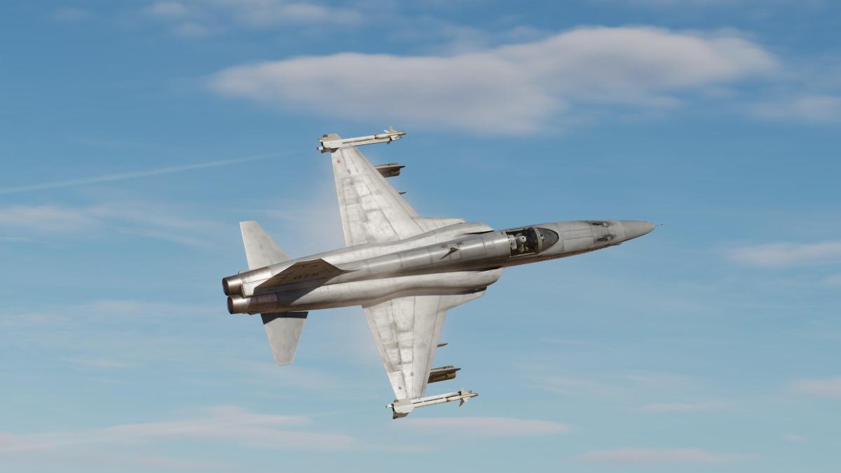 Does it offer enough? DCS: F-5E remastered review – Stormbirds