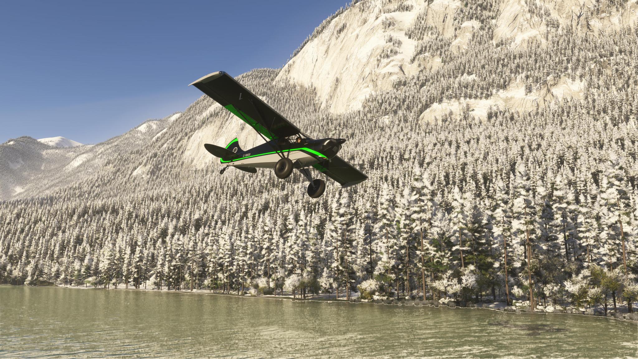 Flight Journal: These two MSFS 2024 bushplanes are brilliant! – Stormbirds