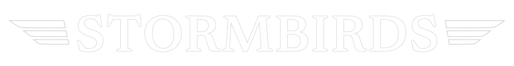 Happy New Year! Best wishes for 2026! – Stormbirds