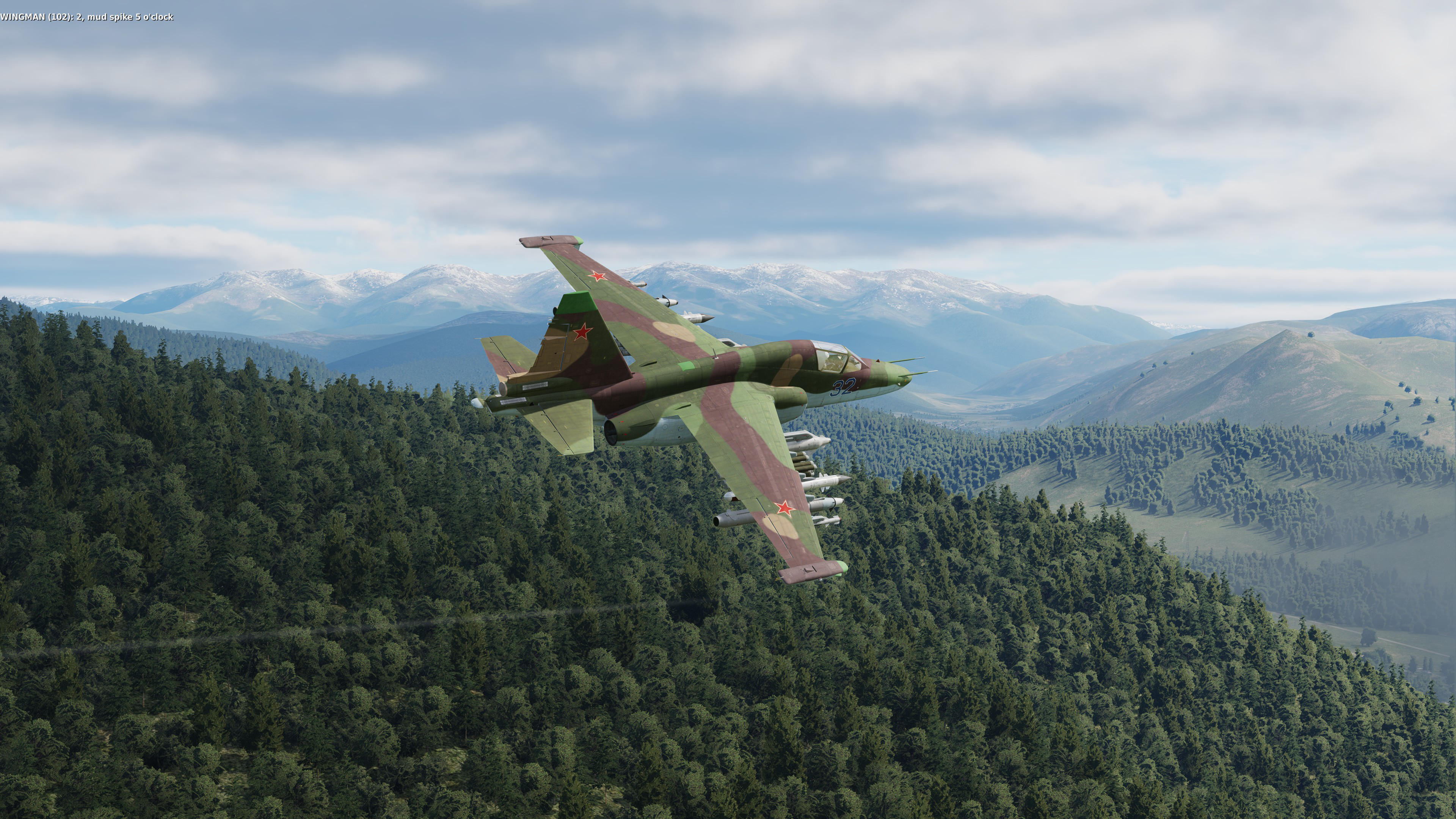 DCS World Buyers Guide – Stormbirds