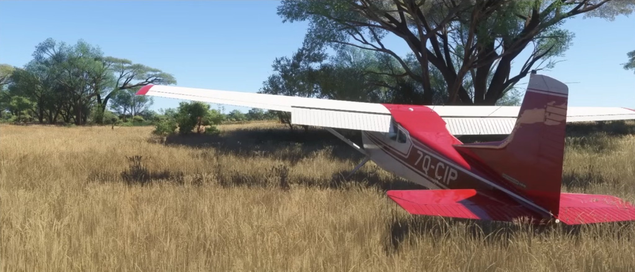 Microsoft Flight Simulator roadmap – Stormbirds